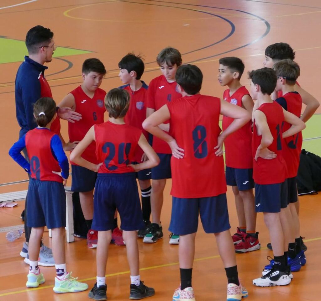 La Federación de Basket da a conocer los grupos en las categorías ...